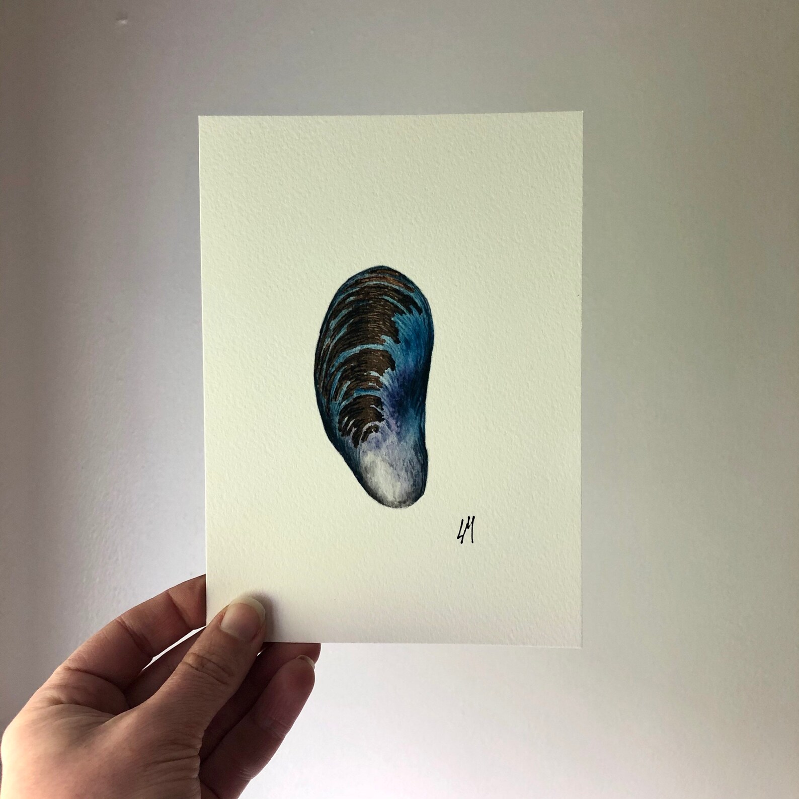 Blue Mussel Art Print: Coastal Watercolor Painting (5x7 Unframed) - Etsy