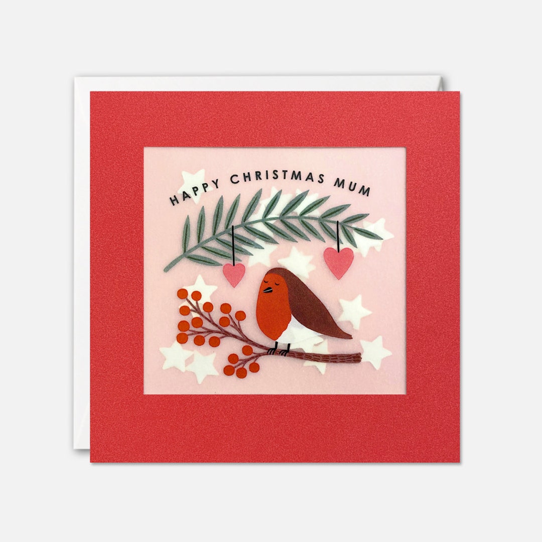 Mum Robin Christmas Card With Paper Confetti - Paper Shakies by James ...