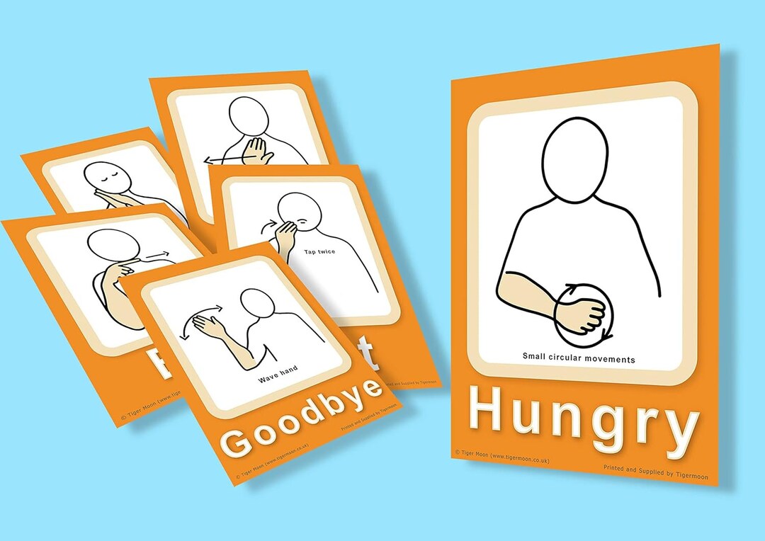 Makaton 40 Basic Signs Flashcards A6 - Etsy