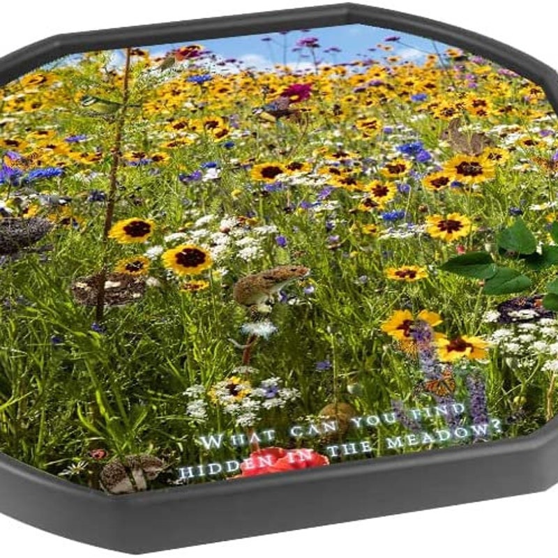 Tuff Tray Insert - Etsy UK