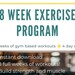 8 Week Exercise Program, Printable Gym Guide, Weekly Gym Plan, Strength ...