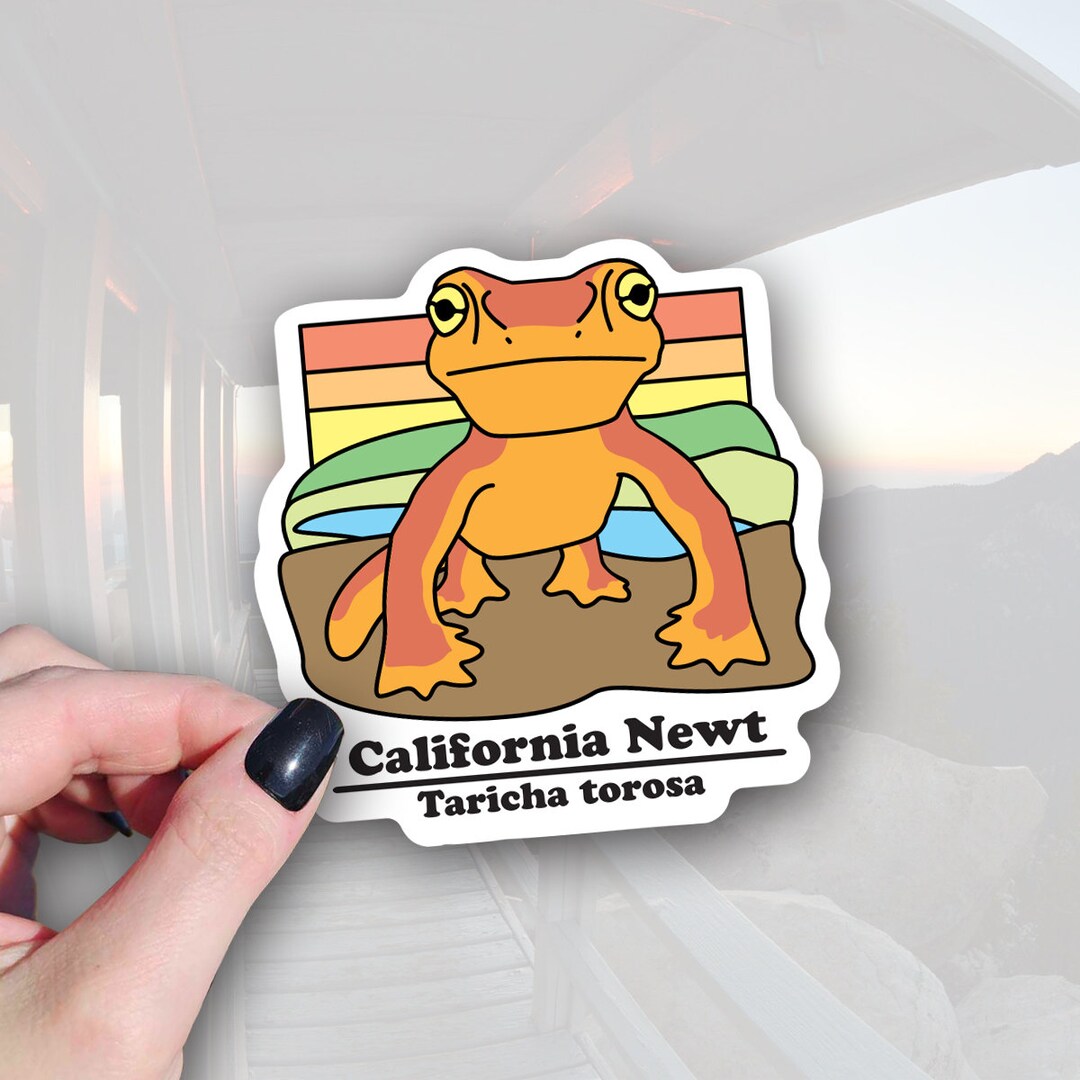 California Newt Sticker: Waterproof Vinyl Decal for Laptop or Water ...
