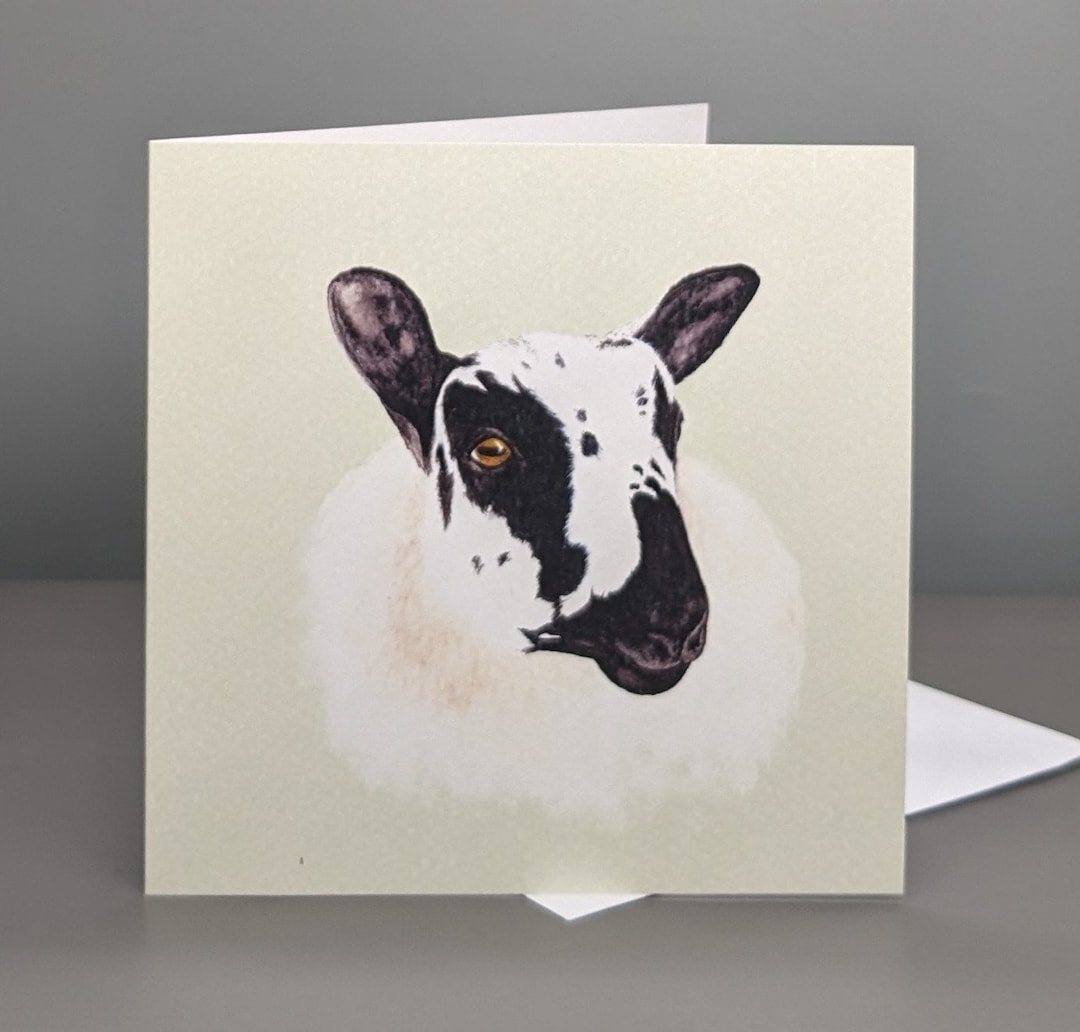 Sheep Greetings Card - Etsy