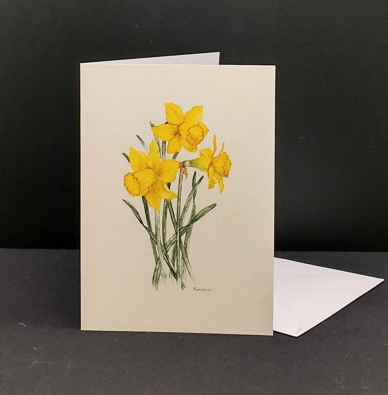 Daffodils Greetings Card. - Etsy