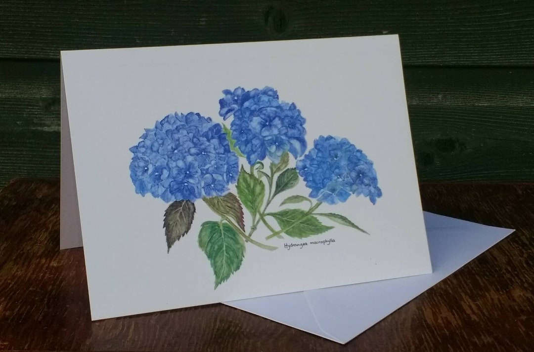 Hydrangea Greetings Card. - Etsy