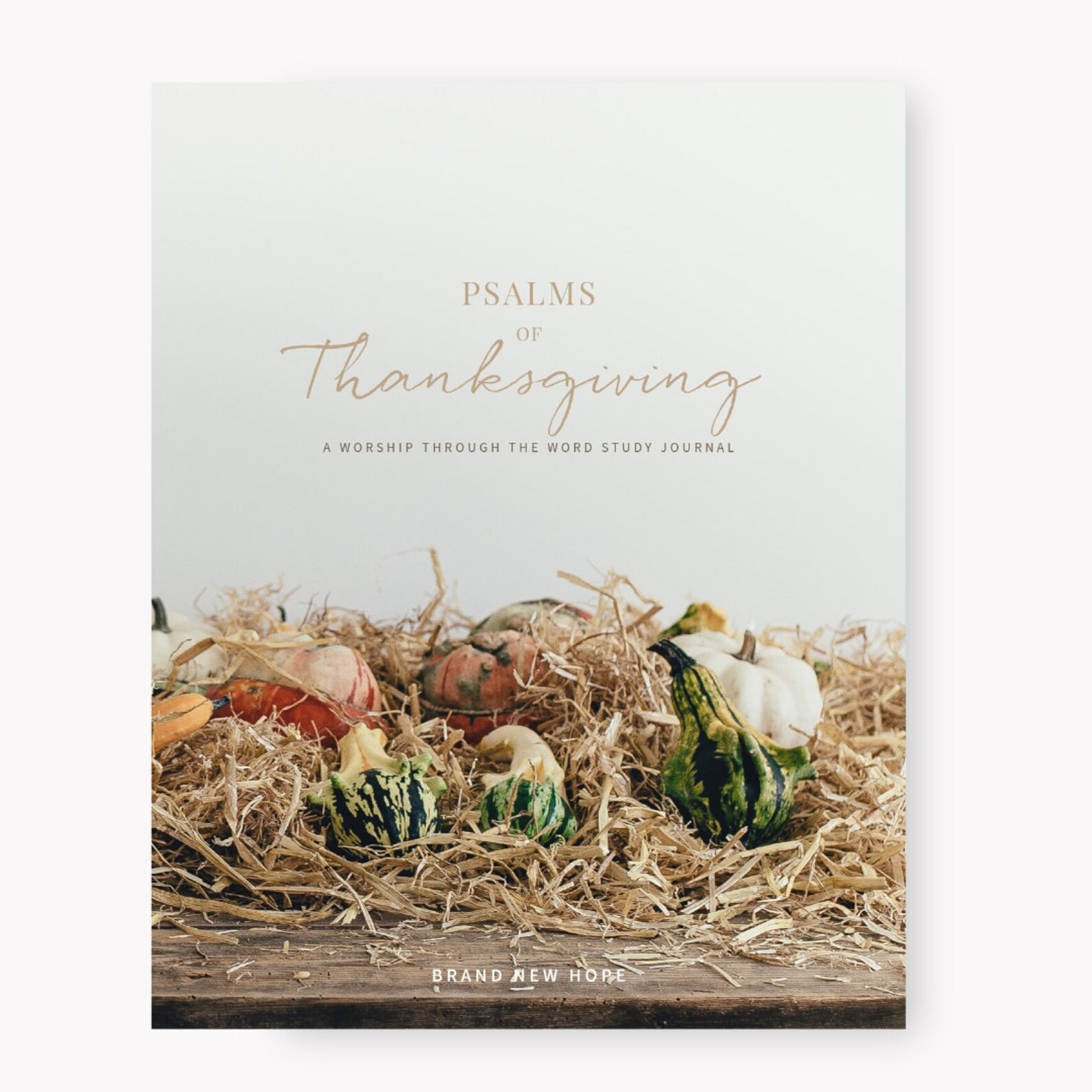 Psalms of Thanksgiving Bible Study Digital Download - Etsy