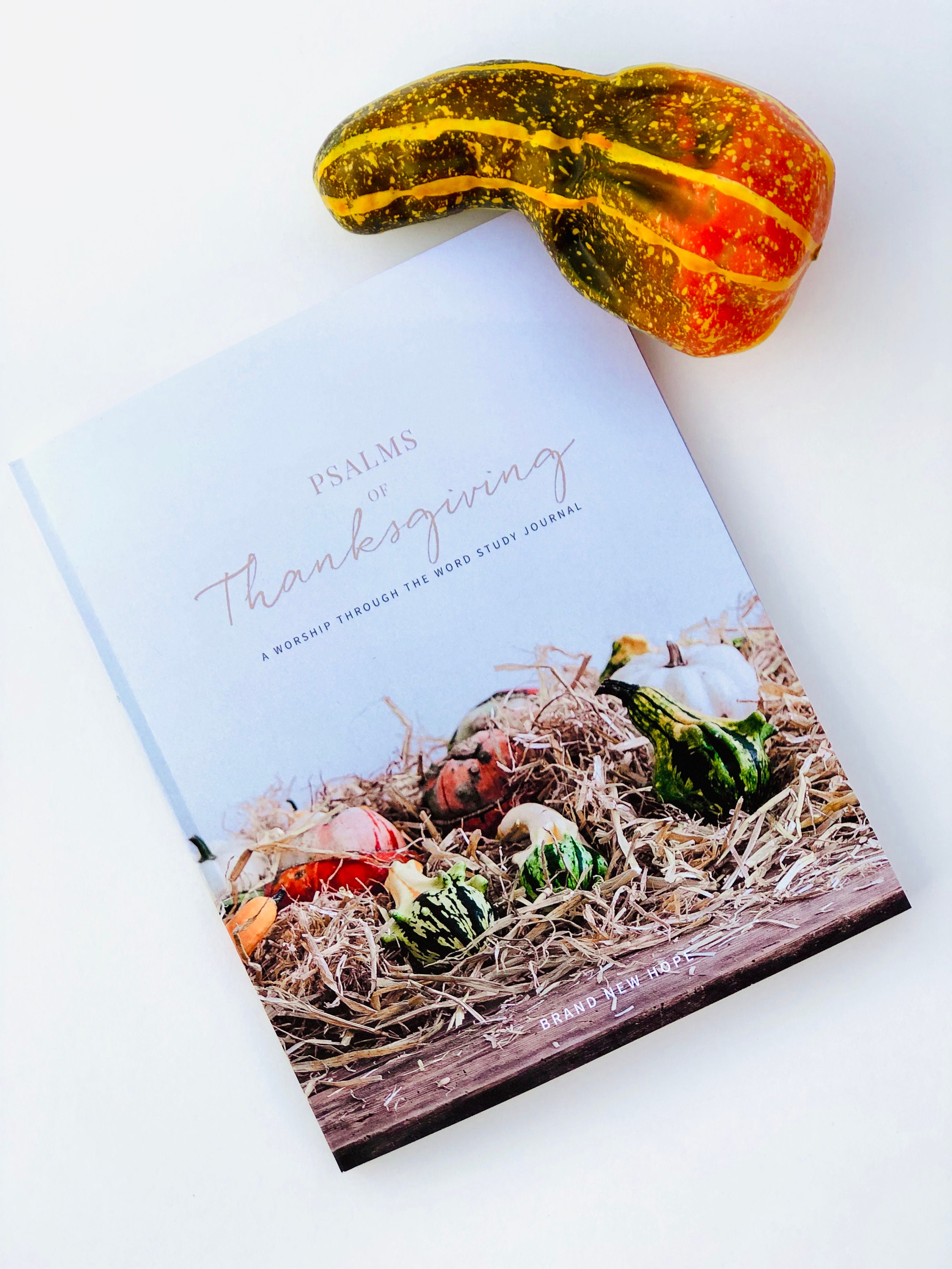 Psalms of Thanksgiving Bible Study Digital Download - Etsy