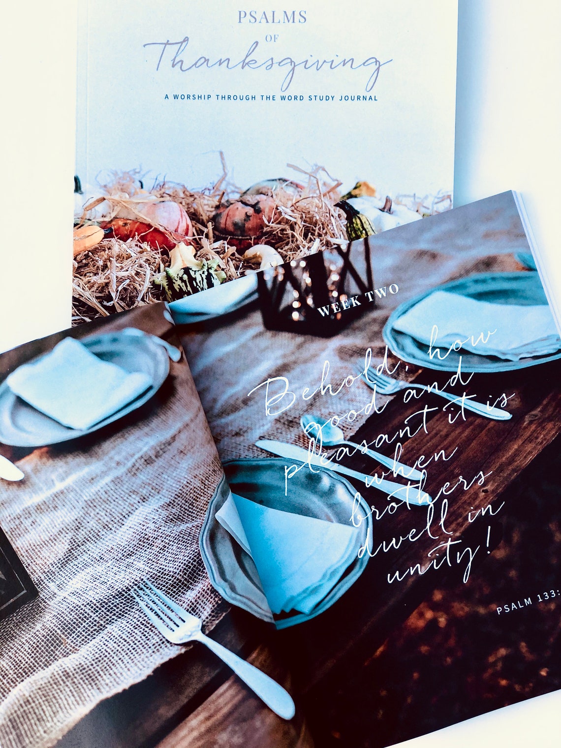 Psalms of Thanksgiving Bible Study Digital Download - Etsy