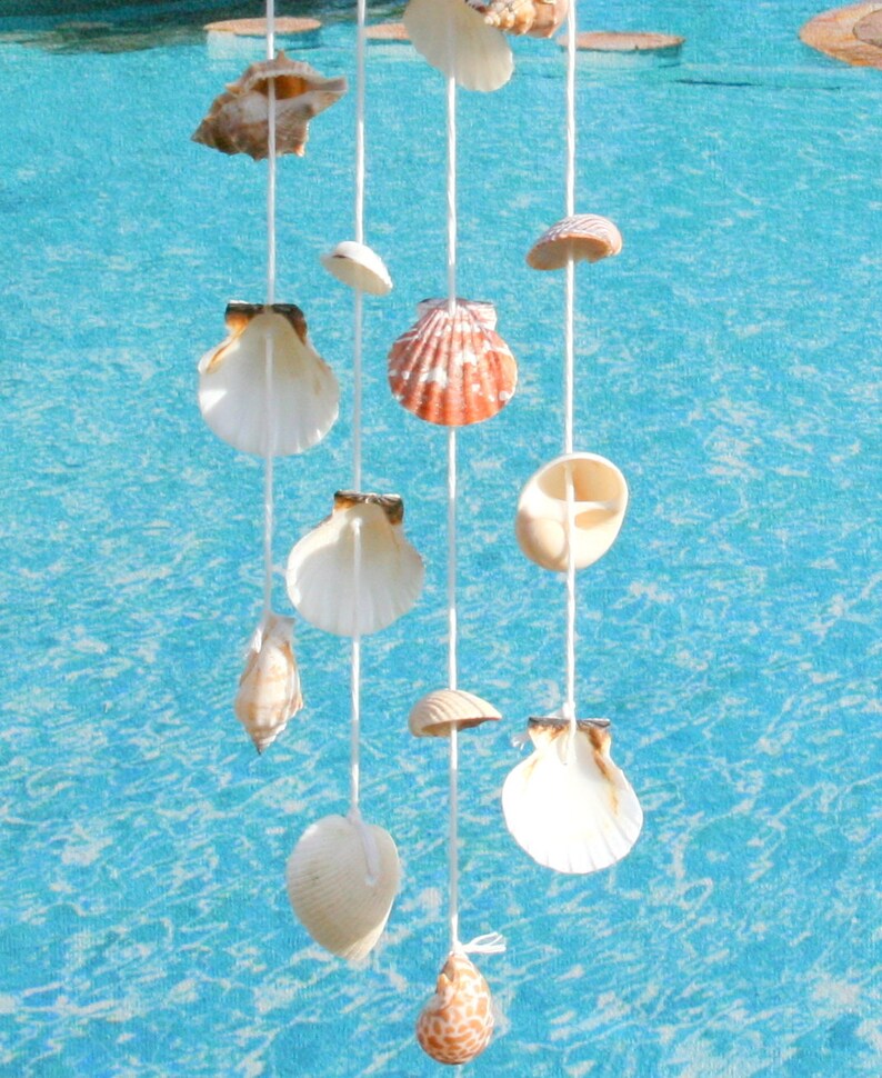 Hanging Shells in Wood - Etsy
