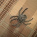 Grey Spider Crochet Decor Spider Halloween Souvenir Toy Present ...