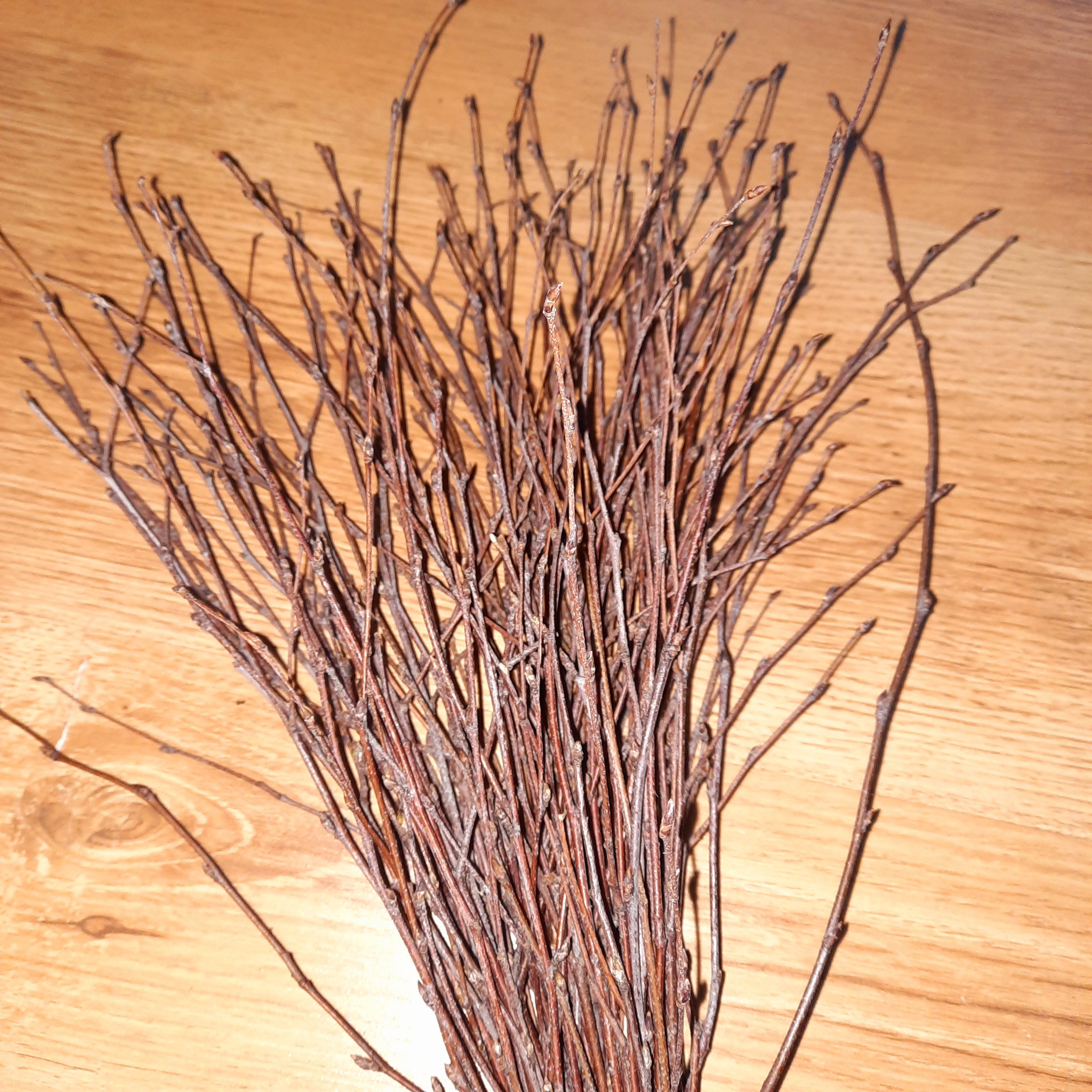 Birch Twigs Bundle: 50 Natural Rustic Branches, 15" Woodland Decor - Etsy