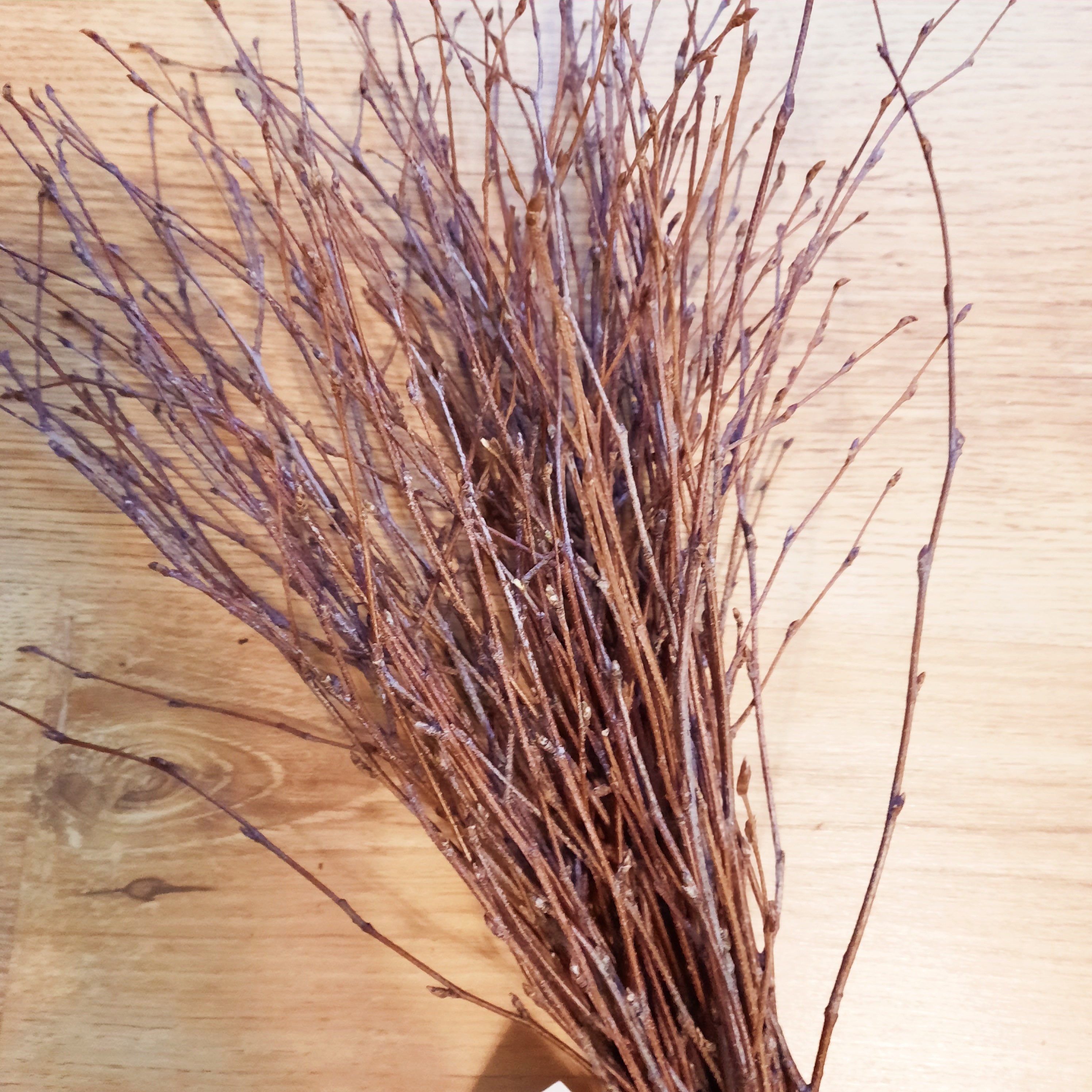 Birch Twigs Bundle: 50 Natural Rustic Branches, 15" Woodland Decor - Etsy
