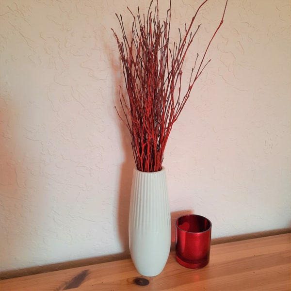 Long Birch Twigs - Etsy