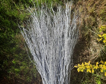 White Birch Branches - Etsy