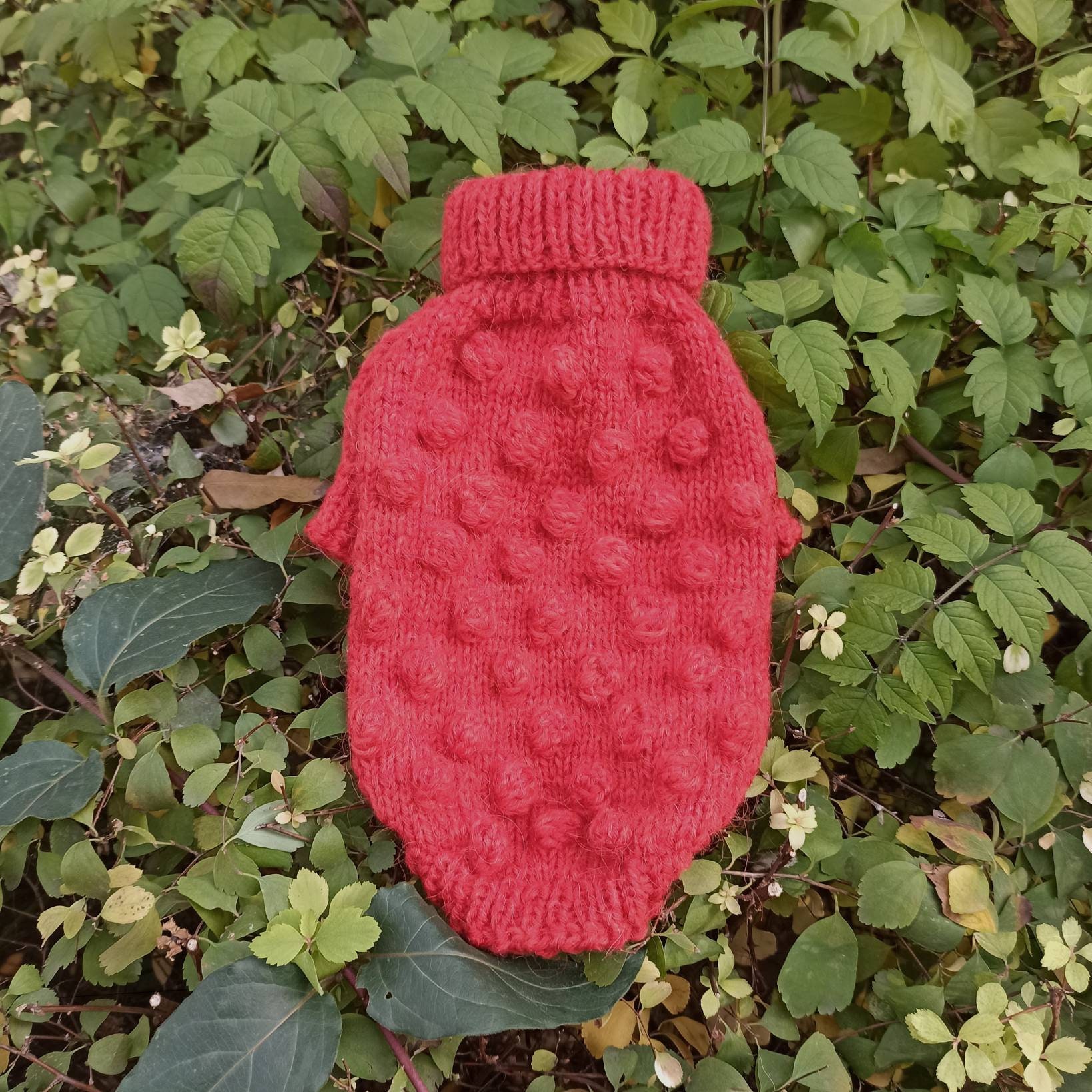 Knit Dog Sweater, Red Dog Clothes, Chihuahua Dog Coat, Dog Jacket ...