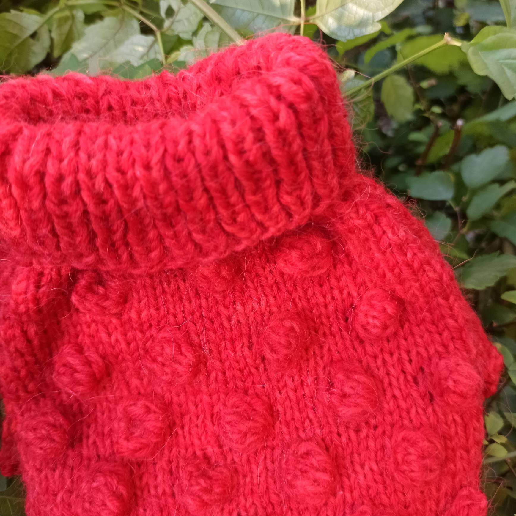 Knit Dog Sweater, Red Dog Clothes, Chihuahua Dog Coat, Dog Jacket ...