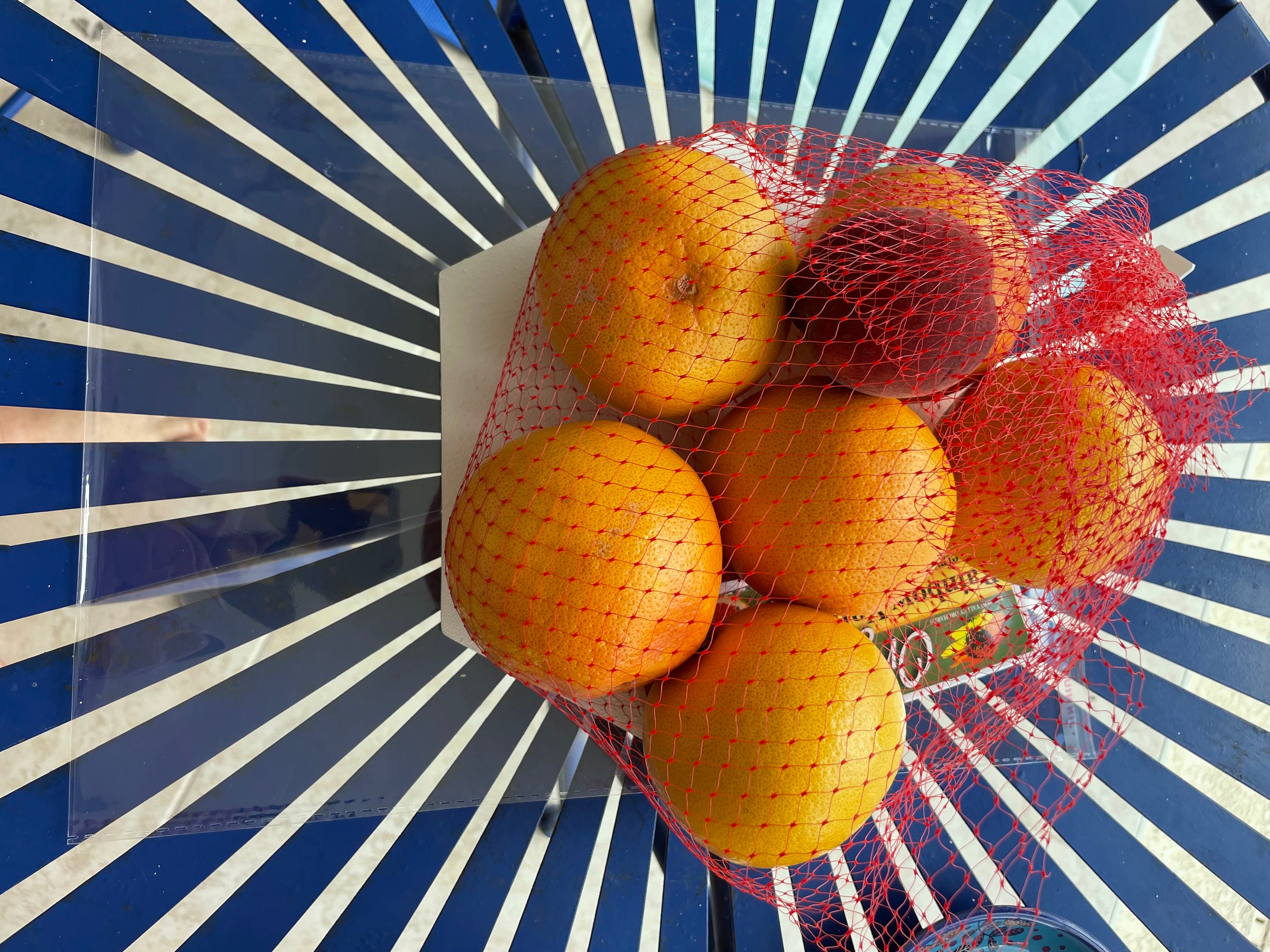 Tachyon Card. Amazing Tool to Live Longer and Stronger Vitalize Your ...