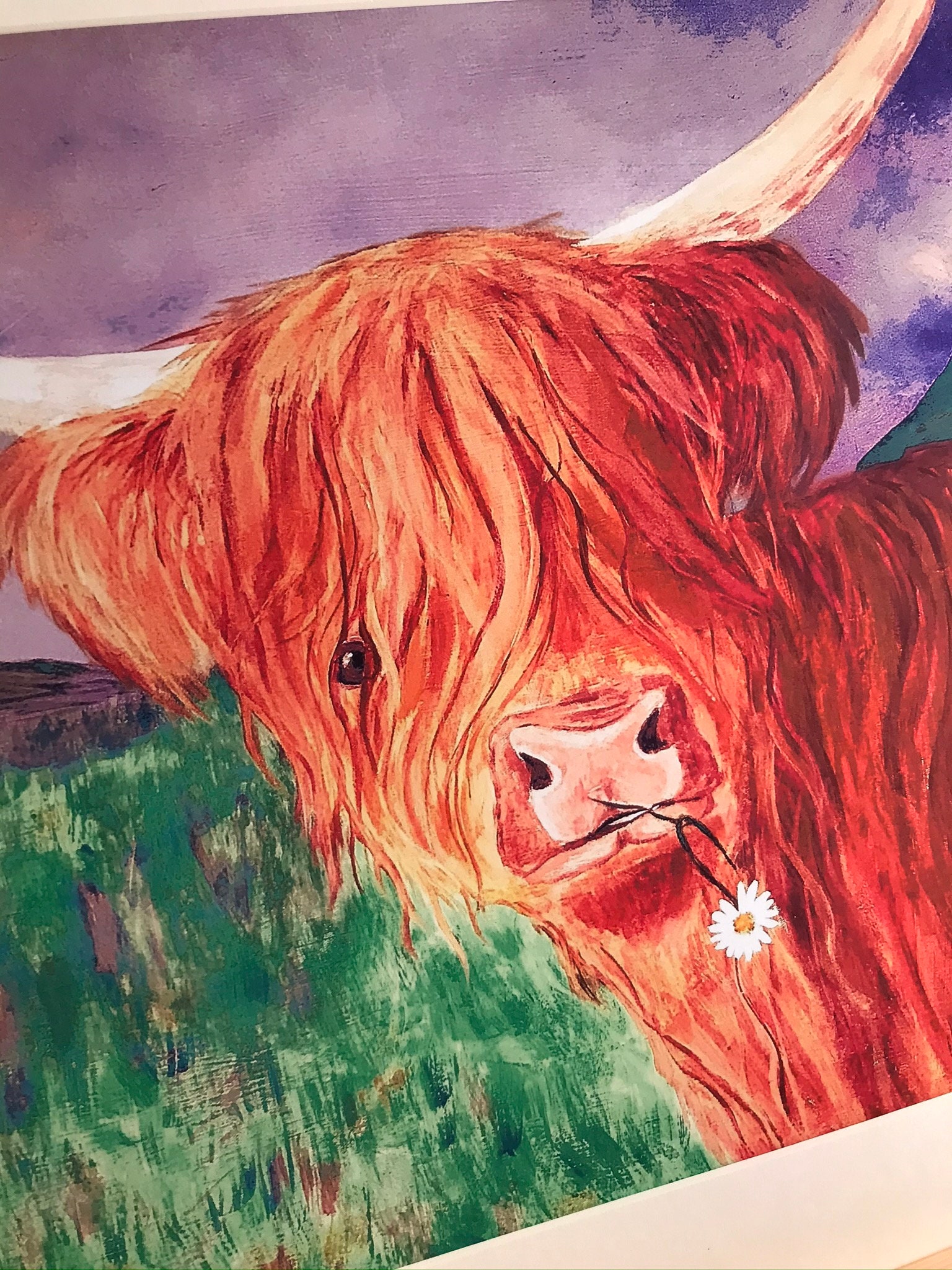 Highland Cow Print Highland cow Art Highland Cow painting | Etsy