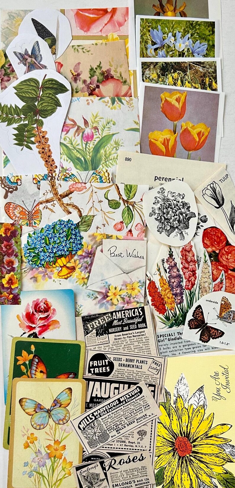 Vintage Garden Flowers Ephemera Pack, Mid Century Die Cuts, Nature ...