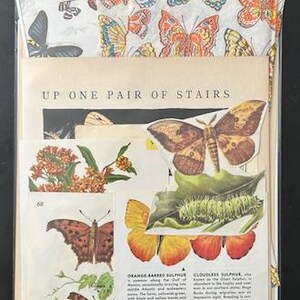 Vintage BUTTERFLY Ephemera Paper Pack Mid Century Nature Junk Journal ...