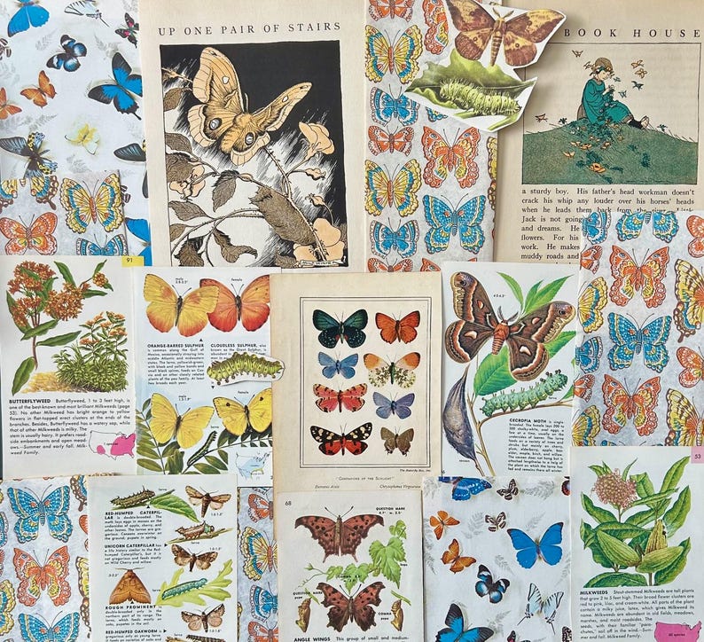 Vintage BUTTERFLY Ephemera Paper Pack Mid Century Nature Junk Journal ...