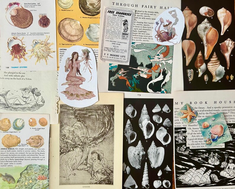 Vintage OCEAN Sea Witchery Mermaid Merman & Shells Ephemera Paper Pack ...