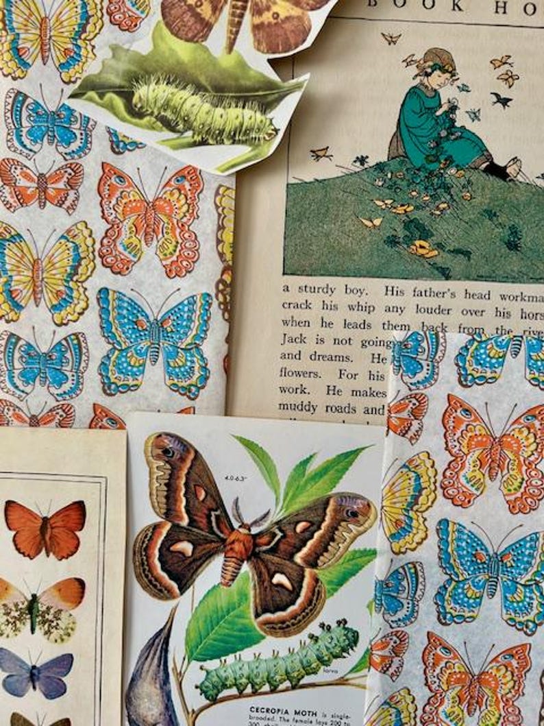 Vintage BUTTERFLY Ephemera Paper Pack Mid Century Nature Junk Journal ...