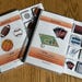Laundry Life Skills File Folders for Special Education (breezy Special ...
