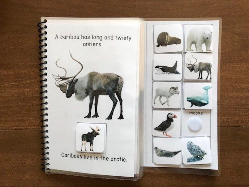 Animal Habitats Adapted Books for Special Education - Etsy