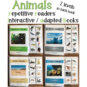 Animal Habitats Adapted Books for Special Education - Etsy