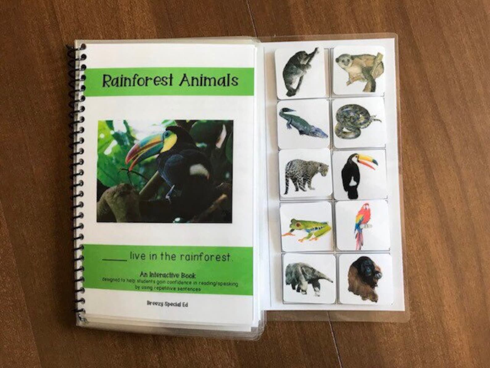 Animal Habitats Adapted Books for Special Education - Etsy