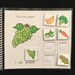 Fruits and Veggies and Food Sentence Starter Adapted Books I Eat - Etsy