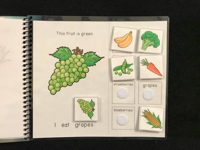 Fruits and Veggies and Food Sentence Starter Adapted Books I | Etsy