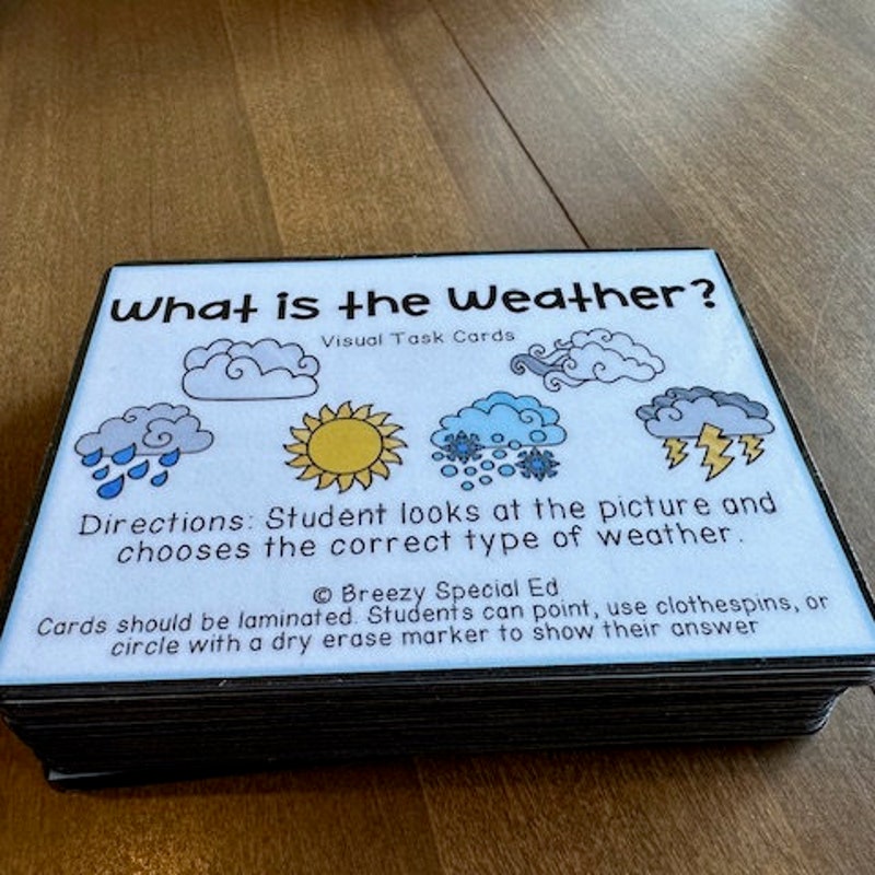 BreezySpecialEd - Etsy