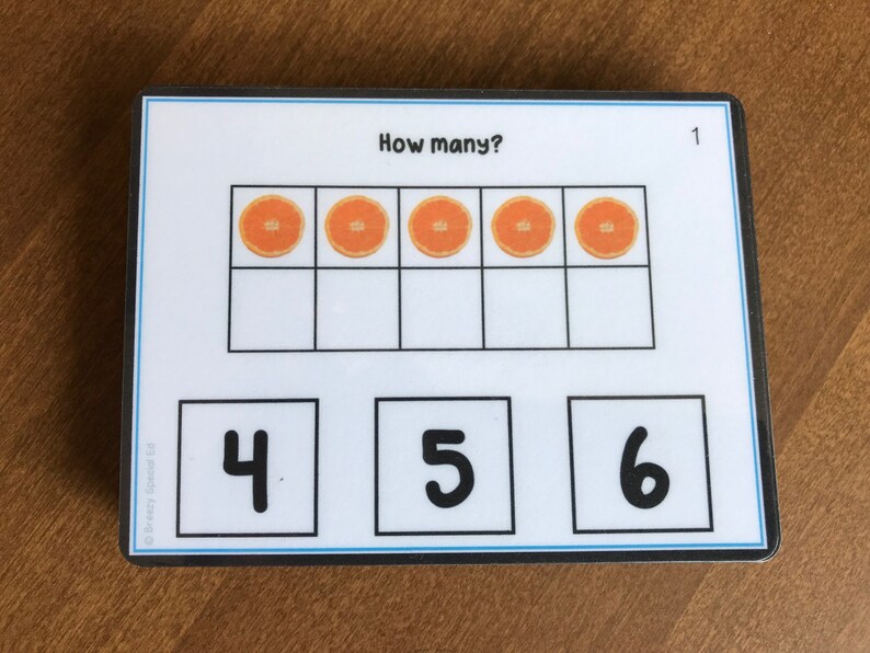 Counting up to 10 Visual Task Cards Autism and Special | Etsy