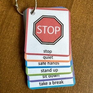Visual Rules Keychain/lanyard for Special Education/ Personalized ...