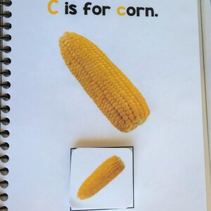 Alphabet REAL PICTURE Adapted Books Bundle (29 Pk) - Etsy