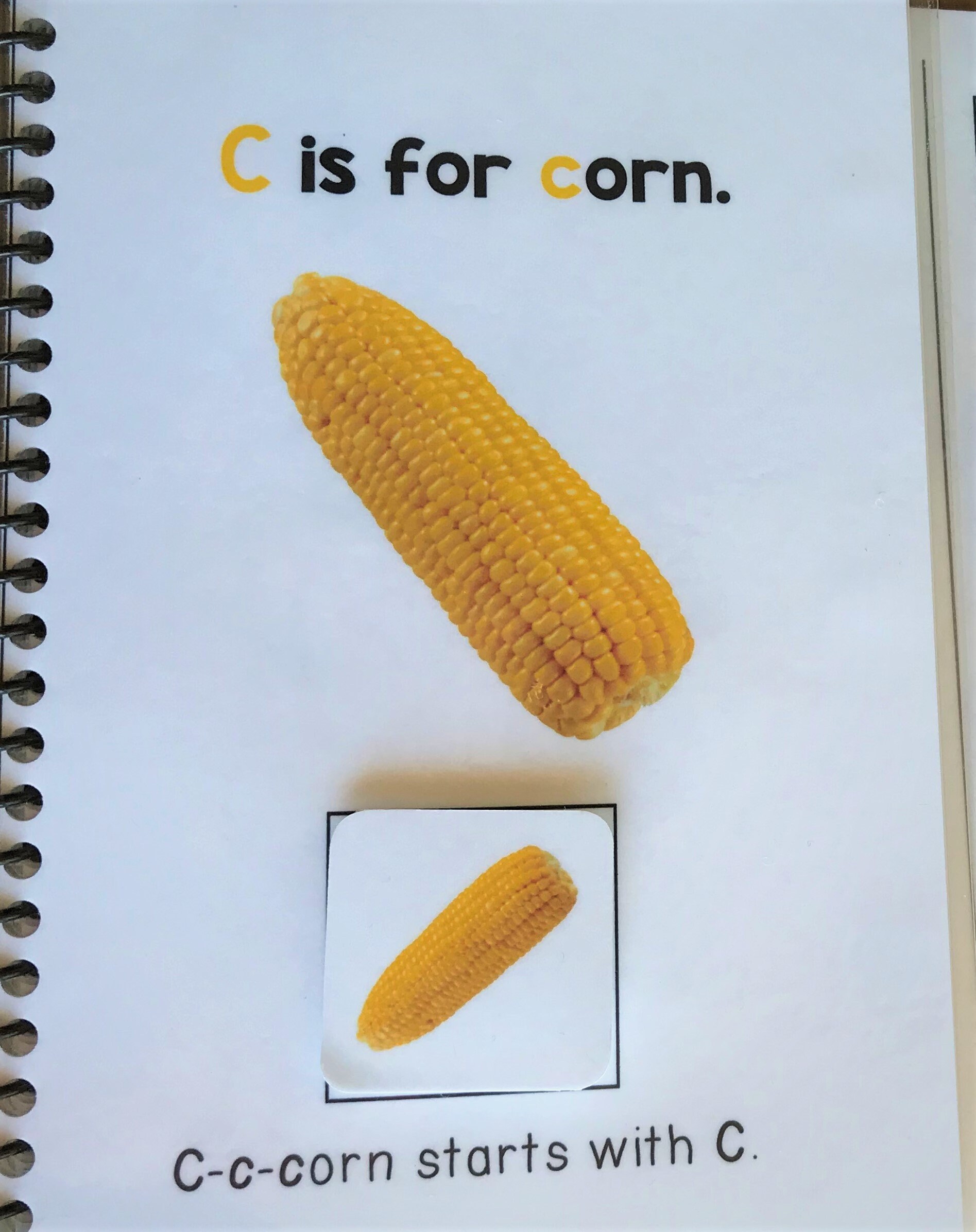 Alphabet REAL PICTURE Adapted Books Bundle 29 Pk - Etsy