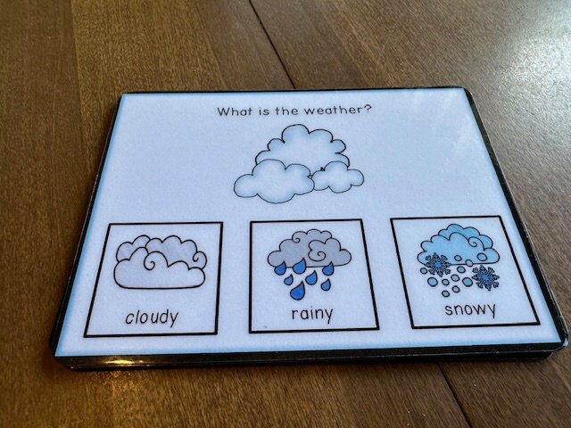 What is the Weather? Visual Task Cards (special Education) 60 Pc - Etsy