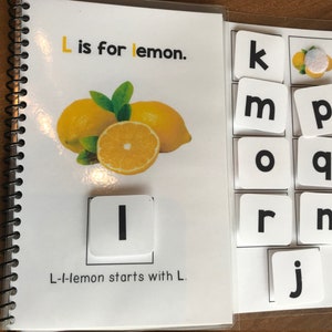 Alphabet Review Adapted/interactive Books (3pk) - Etsy