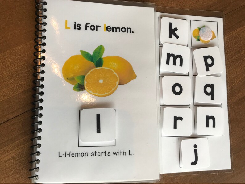 Alphabet Review Adapted/interactive Books (3pk) - Etsy