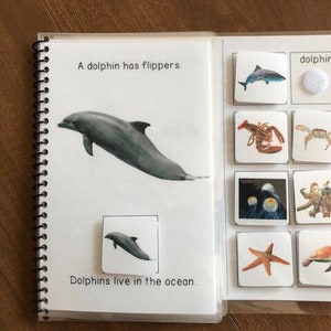 Animal Habitats Adapted Books for Special Education - Etsy
