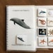 Animal Habitats Adapted Books for Special Education - Etsy