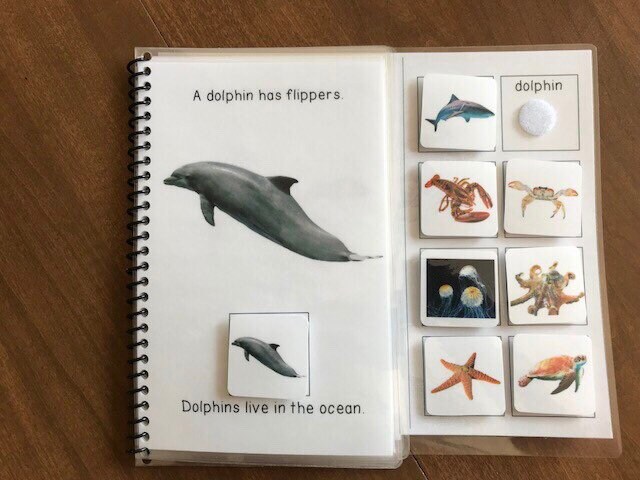 Animal Habitats Adapted Books for Special Education - Etsy