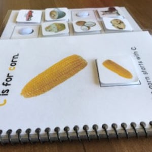 Alphabet REAL PICTURE Adapted Books Bundle (29 Pk) - Etsy