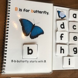 Alphabet Review Adapted/interactive Books (3pk) - Etsy