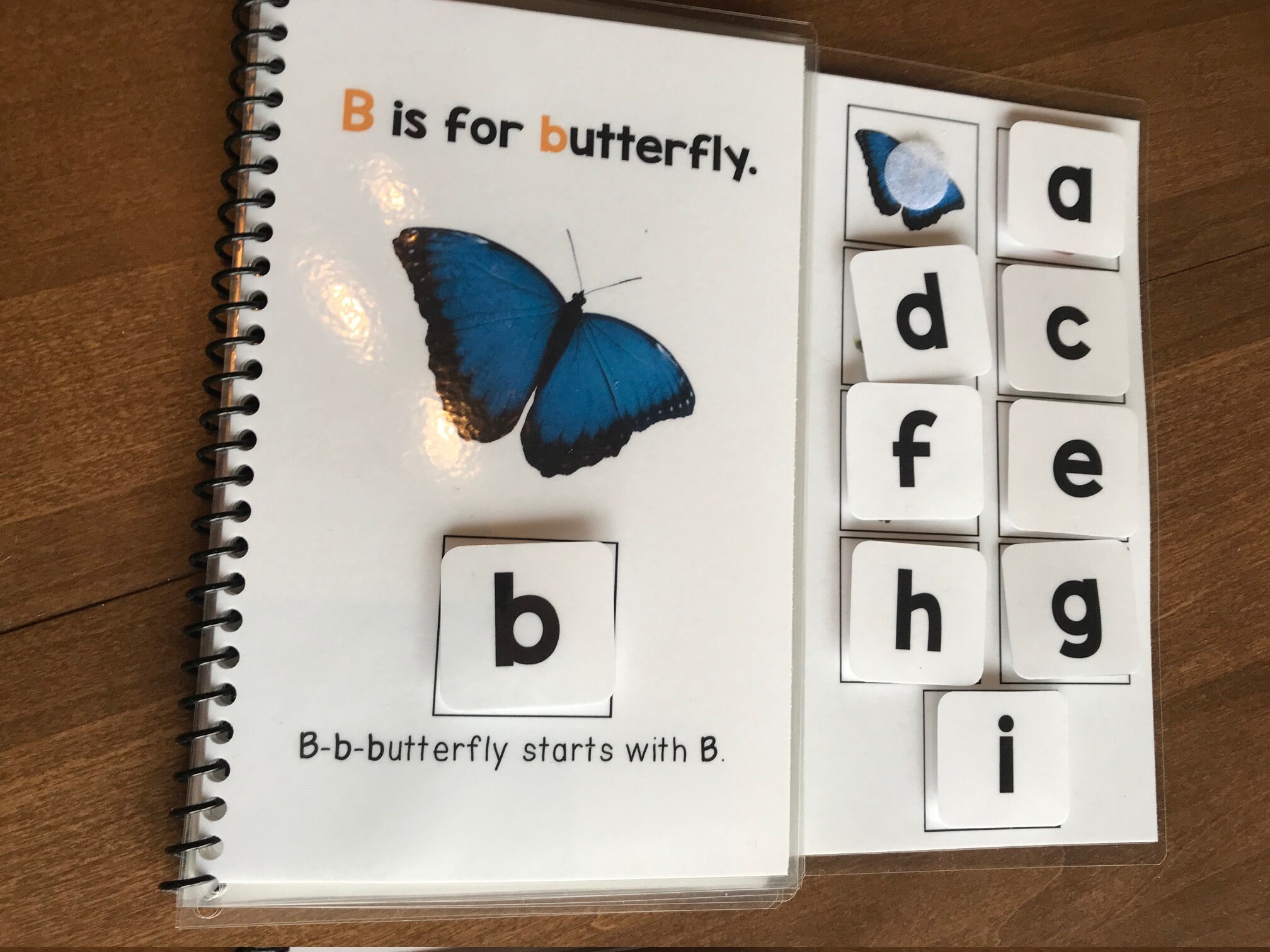 Alphabet Review Adapted/interactive Books (3pk) - Etsy