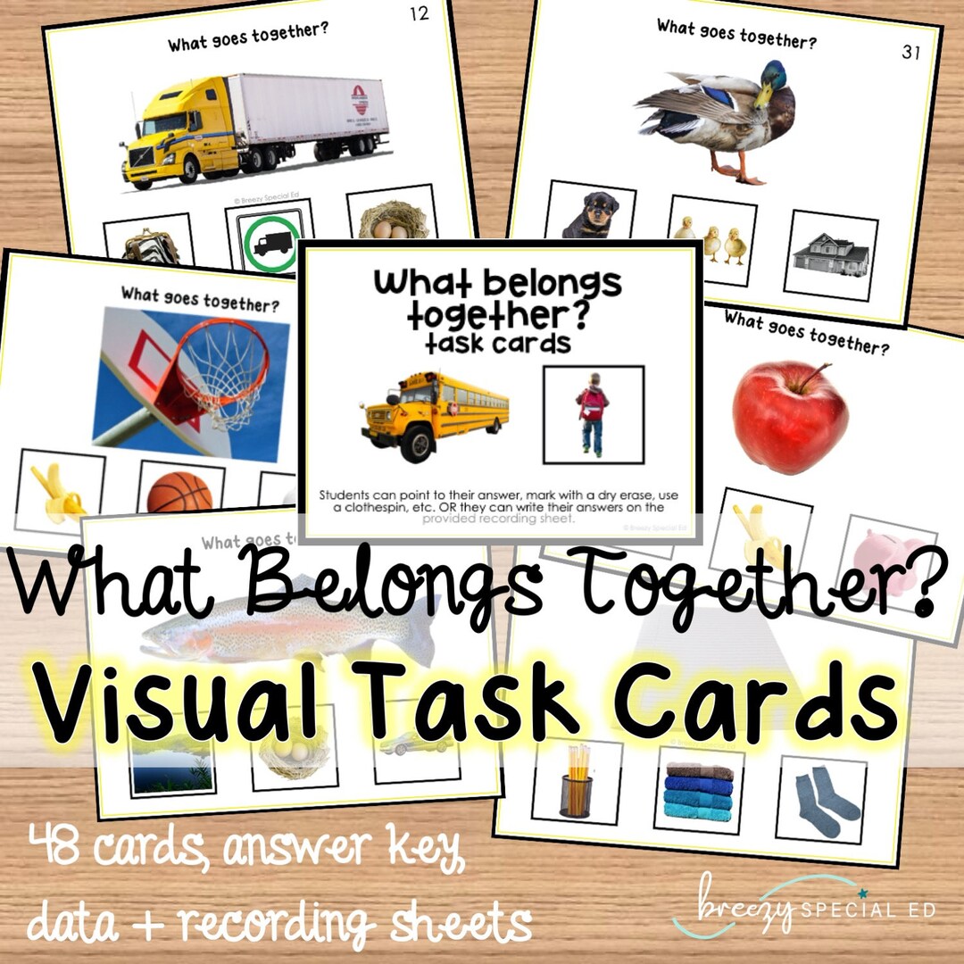 What Belongs Together? Associations Task Cards for Autism and Special ...