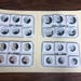 Coin Identification Money Math File Folders for Special Education US ...