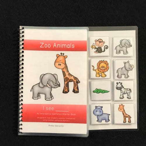 Germs and Washing Hands Interactive/adapted Books for Special | Etsy